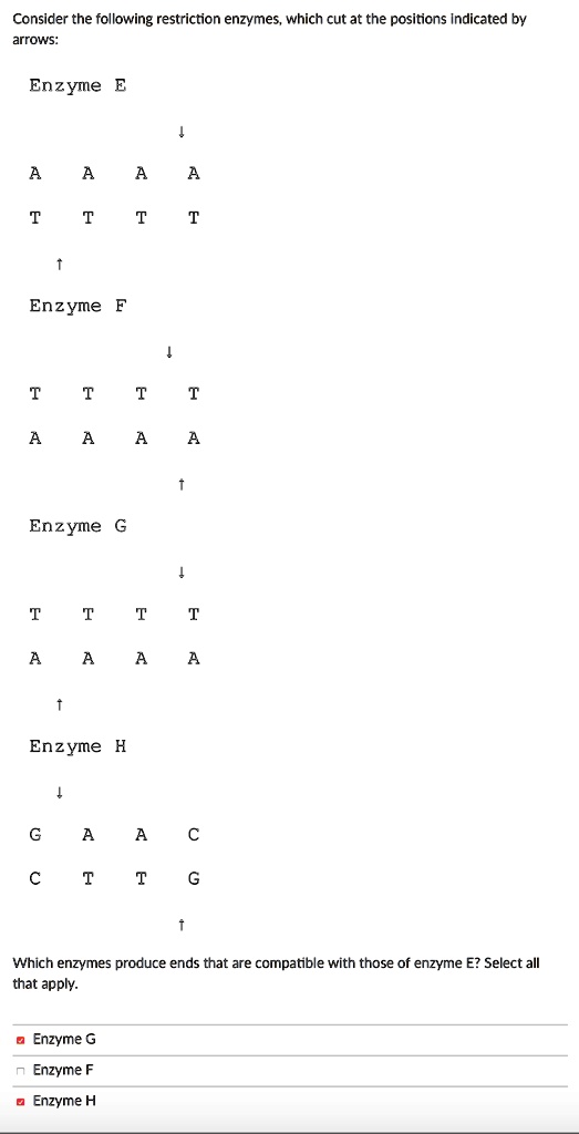 SOLVED: Consider the following restriction enzymes, which cut at the ...