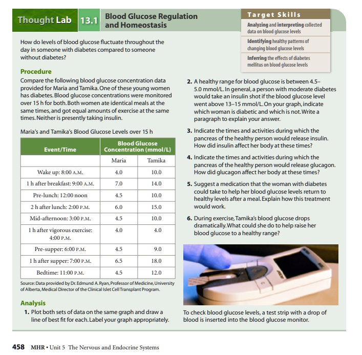 thought lab 131 blood glucose regulation and homeostasis target skills ...
