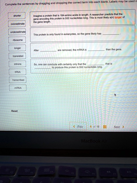 SOLVED: Complete the sentences by dragging and dropping the correct ...