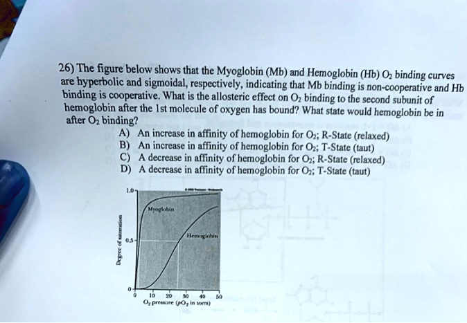 26 the figure below shows that the myoglobin mb and hemoglobin hb 0 ...