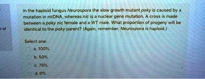 SOLVED: In the haploid fungus Neurospora the slow growth mutant poky is ...