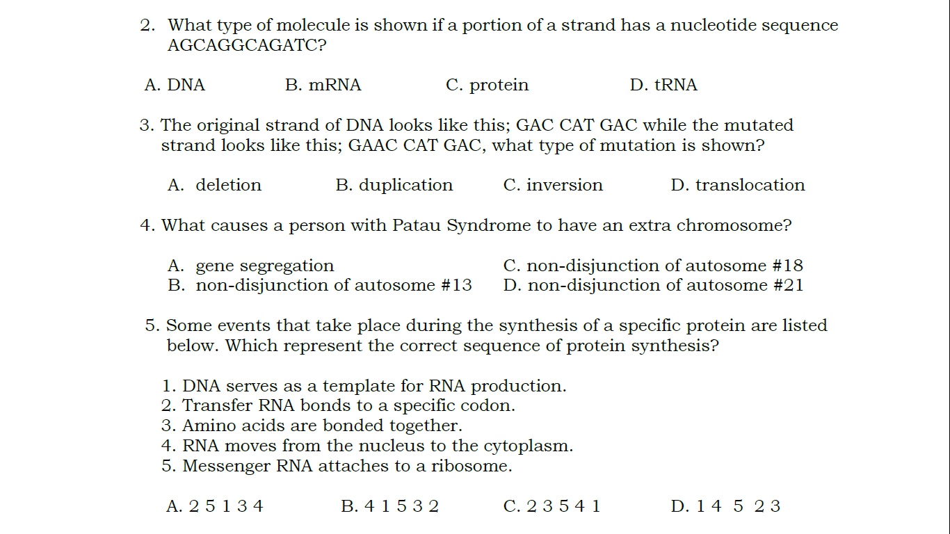2. What type of molecule is shown if a portion of a strand has a ...