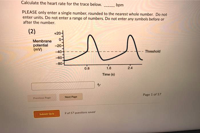 SOLVED: Calculate the heart rate for the trace below. bpm PLEASE only enter a single number ...