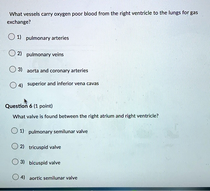 What vessels carry oxygen poor blood from the right ventricle to the lungs for gas exchange? 1 ...