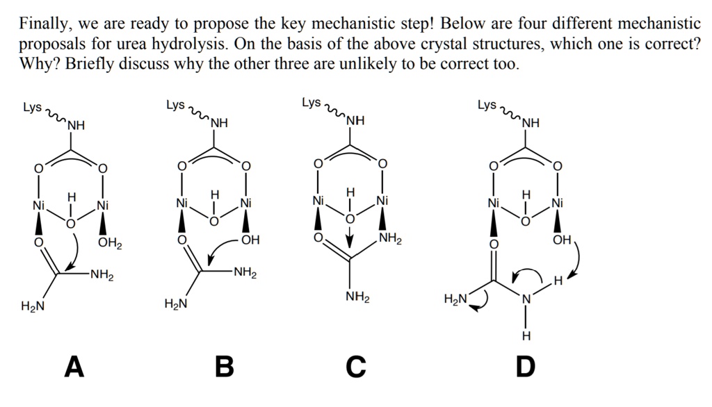 SOLVED: Finally, we are ready to propose the key mechanistic step ... SOLVED: Finally, we are ready to propose the key mechanistic step ...