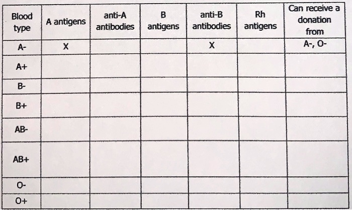 Blood anti-A B anti-B A antigens type A- X antibodies antigens antibodies antigens X Can receive ...