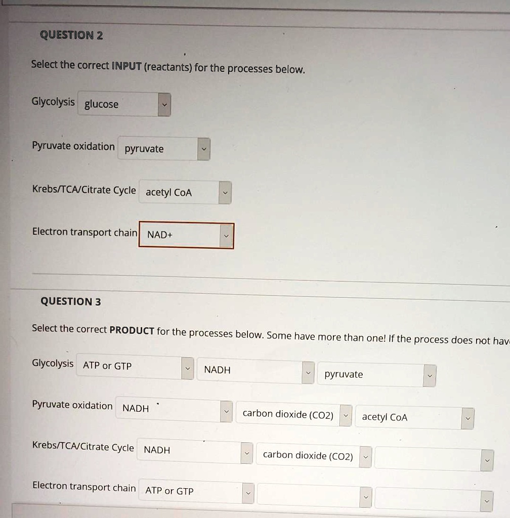 SOLVED: QUESTION 2 Select the correct INPUT (reactants) for the processes below: Glycolysis ...