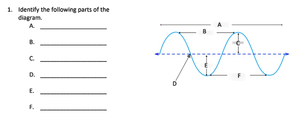 SOLVED: Identify the following parts of the diagram: