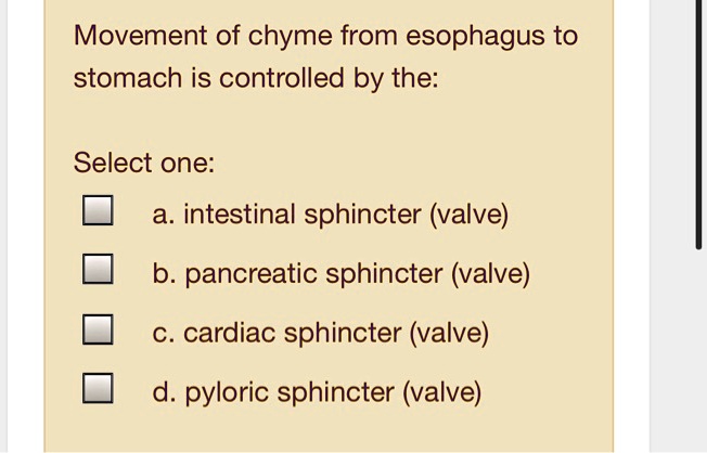 SOLVED: Movement of chyme from esophagus to stomach is controlled by ...
