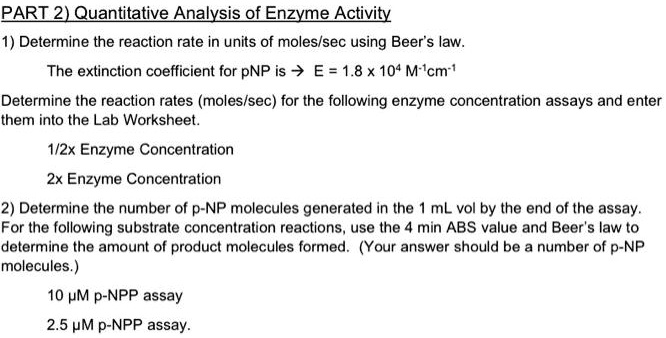 parl 2 quantitative analysis of enzyme activity 1 determine the ...
