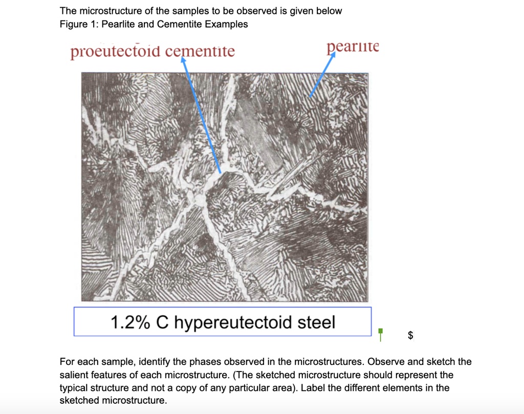 SOLVED: The microstructure of the samples to be observed is given below ...