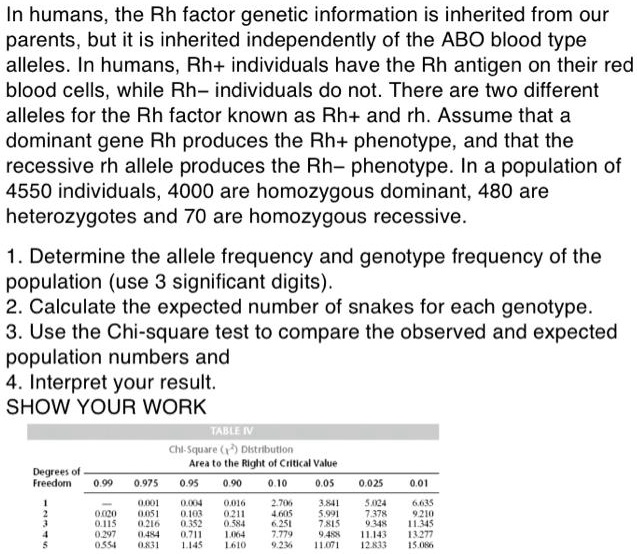 SOLVED: In humans; the Rh factor genetic information is inherited from ...
