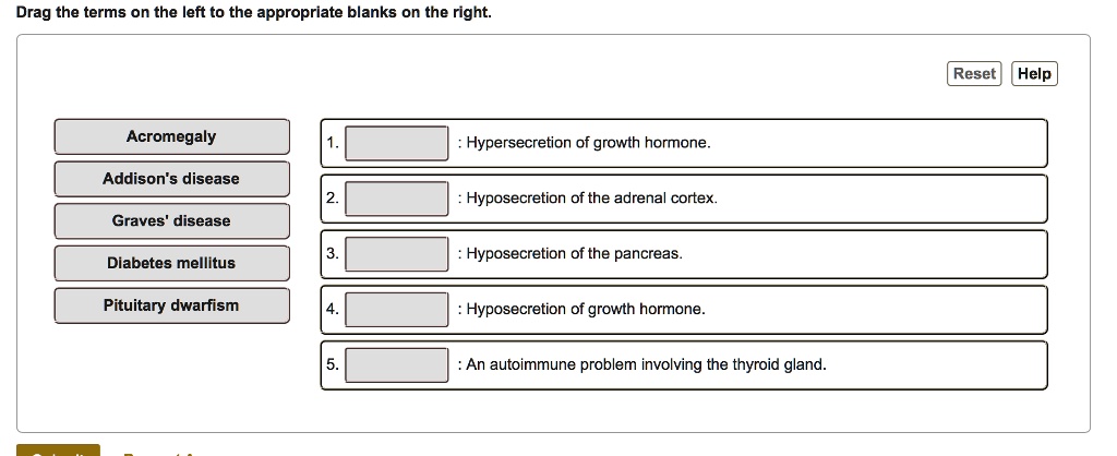 SOLVED: Drag the terms on the left to the appropriate blanks on the ...
