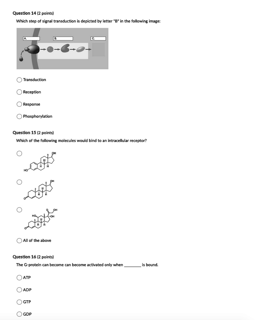 SOLVED: Question 14 (2 points) Which step of signal transduction is ... SOLVED: Question 14 (2 points) Which step of signal transduction is ...