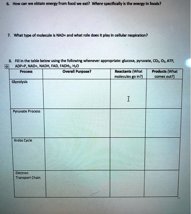 SOLVED: How can we obtain energy from food we eat? Where specifically Is the energy In foods ...