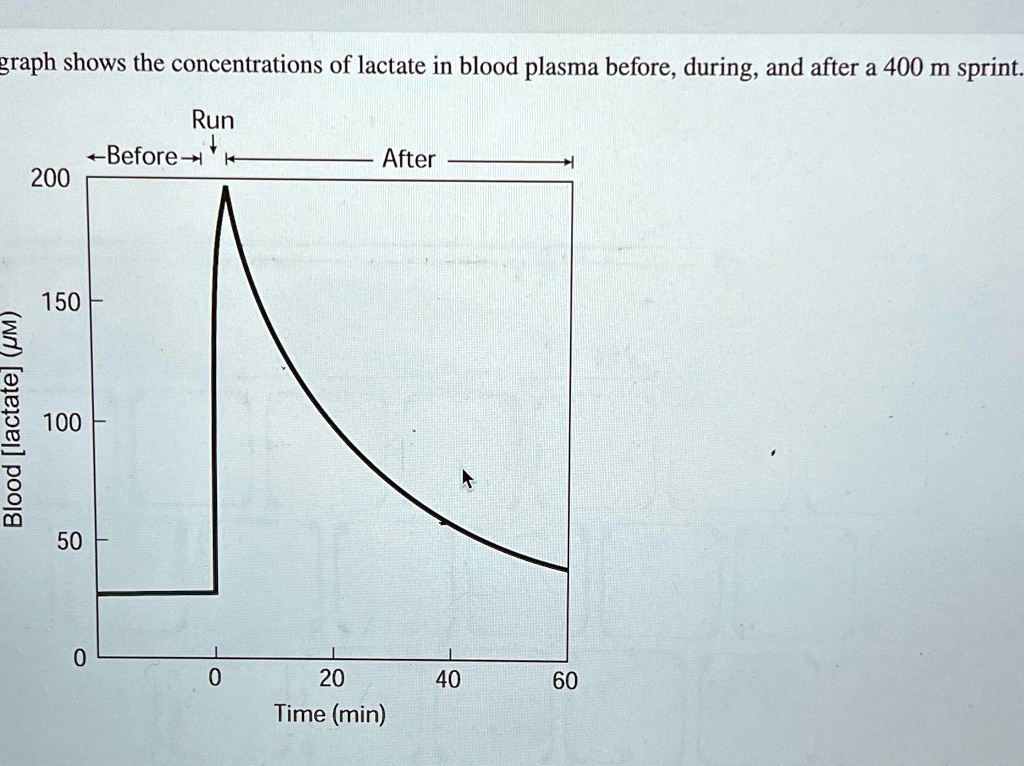 graph shows the concentrations of lactate in blood plasma before ...