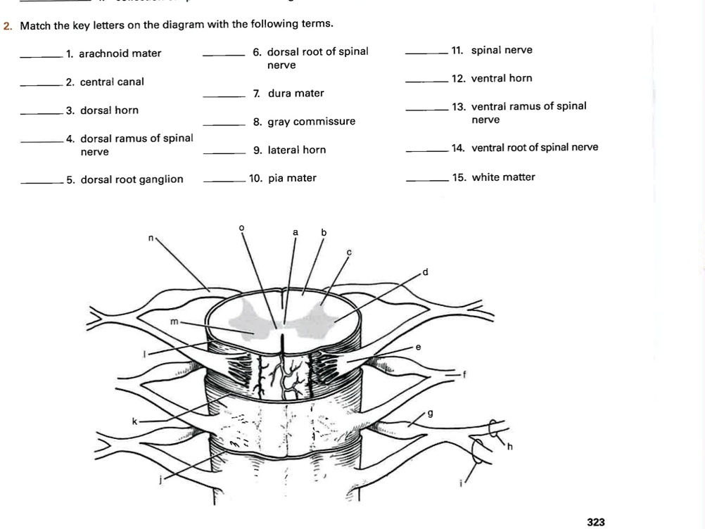 2. Match the key letters on the diagram with the following terms. 1 ...