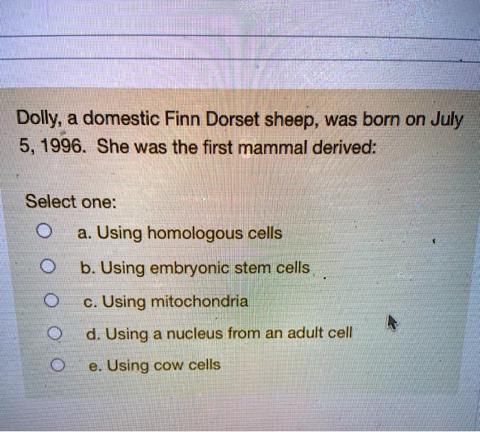 Dolly, a domestic Finn Dorset sheep, was born on July 5, 1996. She was ...