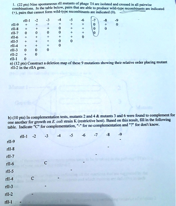 1. (22 pts) Nine spontaneous rII mutants of phage T4 are...