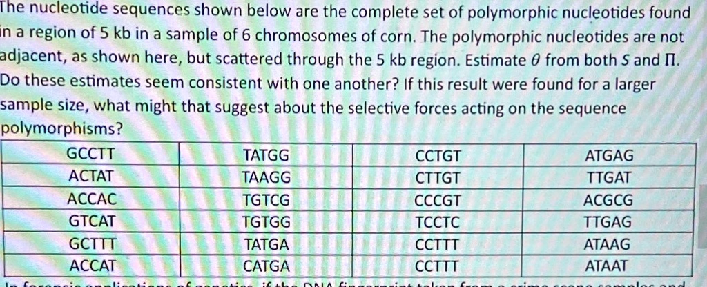 SOLVED: The nucleotide sequences shown below are the complete set of ...