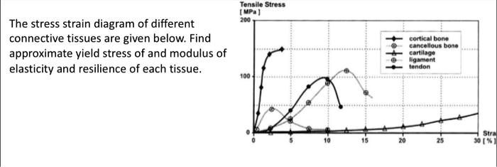 Solved Tensile Stress [mpa] 200 The Stress Strain Diagram Of Different Connective Tissues Is