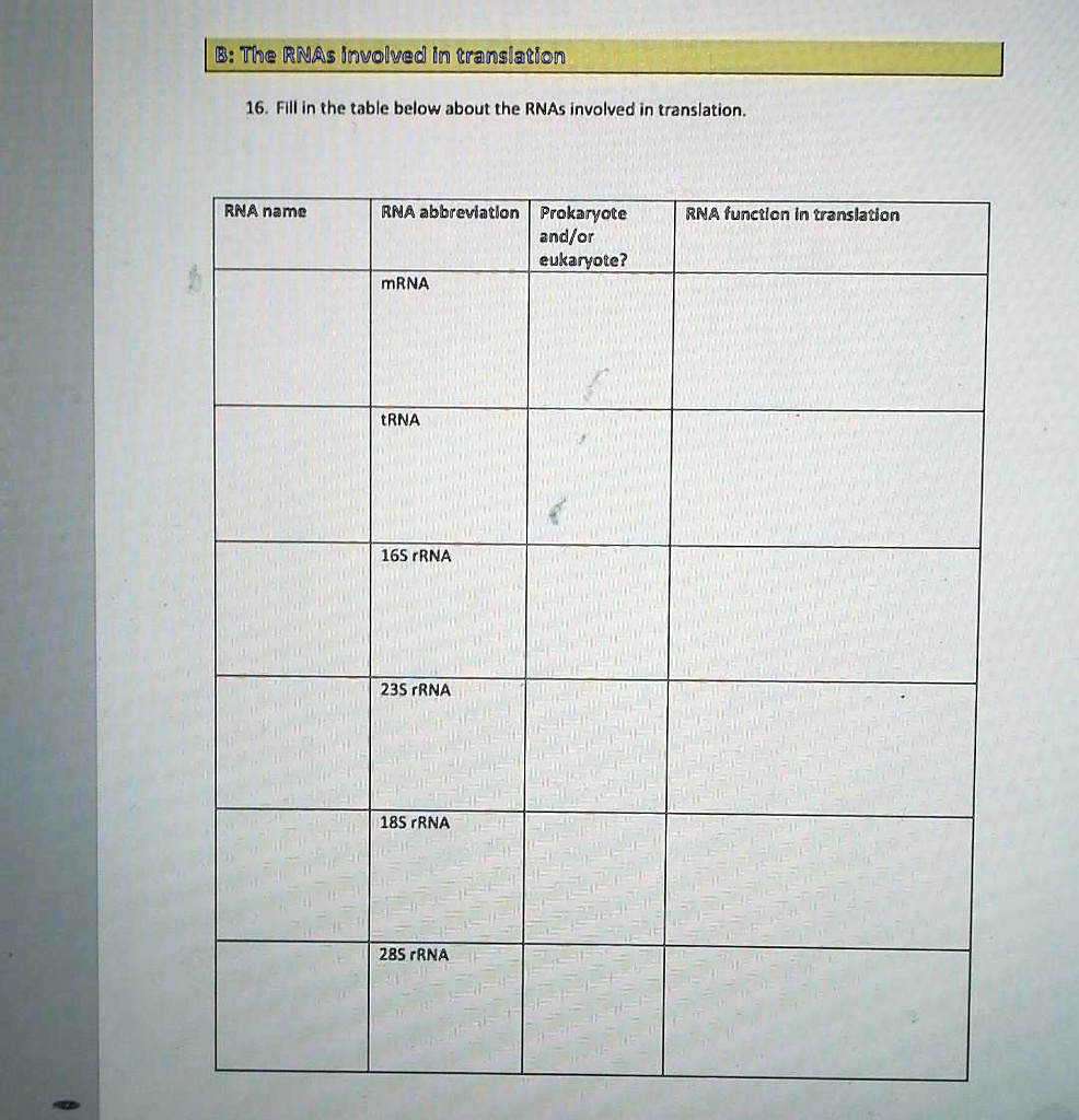 SOLVED: Texts: B: The RNAs involved in translation 16. Fill in the ...