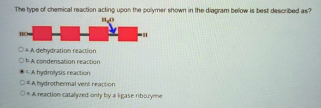 The type of chemical reaction acting upon the polymer shown in the ...