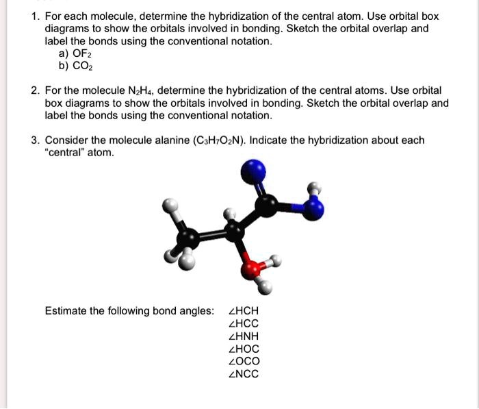 SOLVED: Please solve all, I am so lost. For each molecule, determine ... SOLVED: Please solve all, I am so lost. For each molecule, determine ...