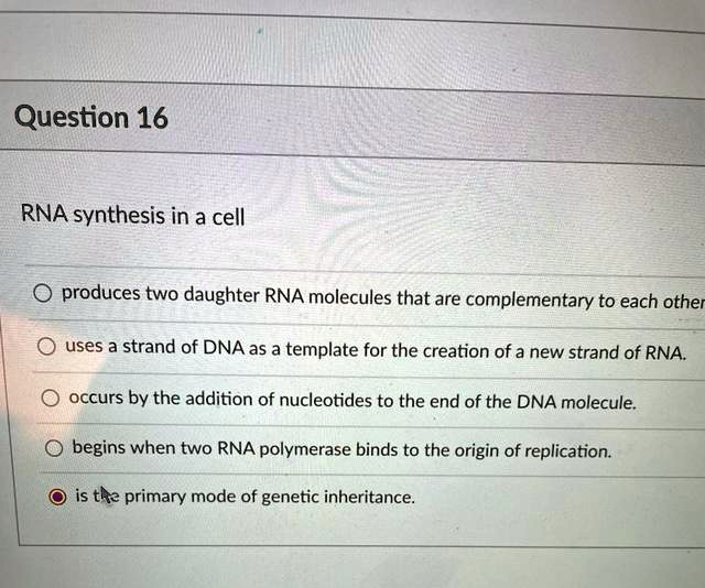 Question 16 RNA synthesis in a cell produces two daughter RNA molecules ...