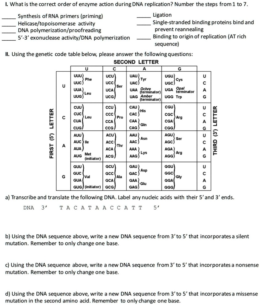 SOLVED: What is the correct order of enzyme action during DNA ...