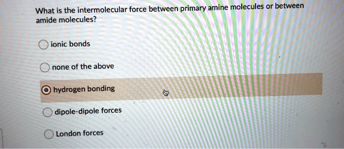 What is the intermolecular force between primary amine molecules or ...