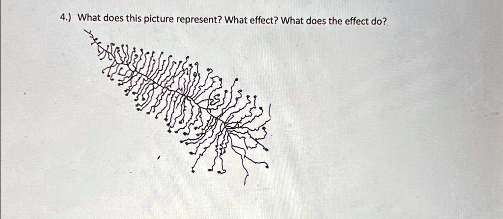 SOLVED: 4.) What does this picture represent? What effect? What does ...