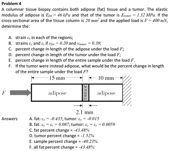 problem columnar tissue biopsy contains both adipose fat tissue and ...