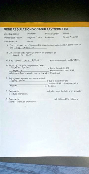 SOLVED: GENE REGULATION VOCABULARY TERM LIST Gene Expression Promoter ...