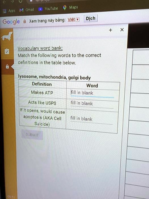 SOLVED: J# Arps M Gmall YouTube Maps Xem trang nay bang: Vetlv] Dich ...