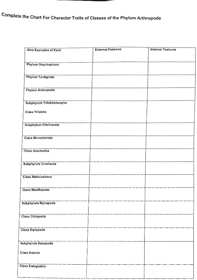 SOLVED:Complete the Chart For Character Traits of Classes of the Phylum ...