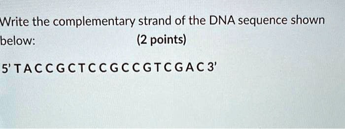 SOLVED: Write the complementary strand of the DNA sequence shown below ...