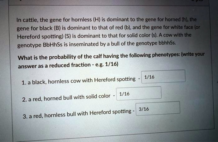 SOLVED: In cattle, the gene for hornless (H) is dominant to the gene ...