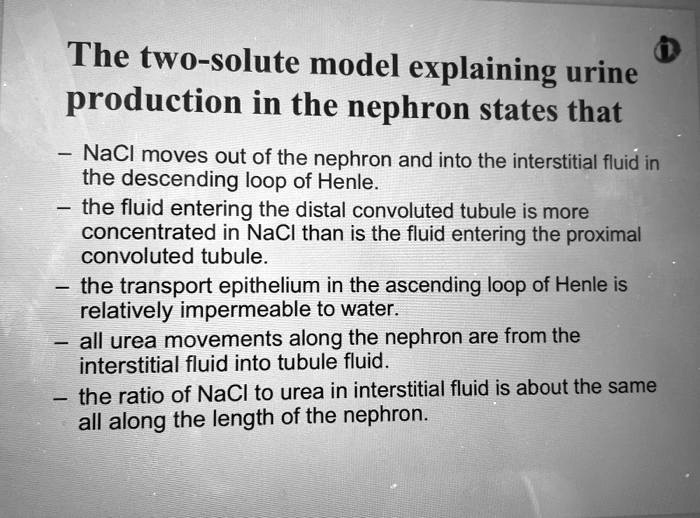 the two solute model explaining urine production in the nephron states ...