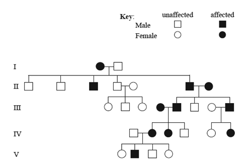 The inheritance of a genetic disease in a family is illustrated in the ...