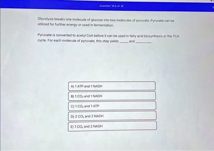 SOLVED: Glycolysis breaks one molecule of glucose into two molecules of pyruvate. Pyruvate can ...