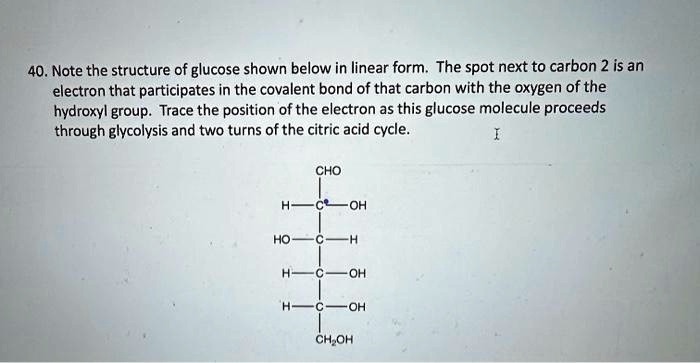 40. Note the structure of glucose shown below in linear form. The spot ...