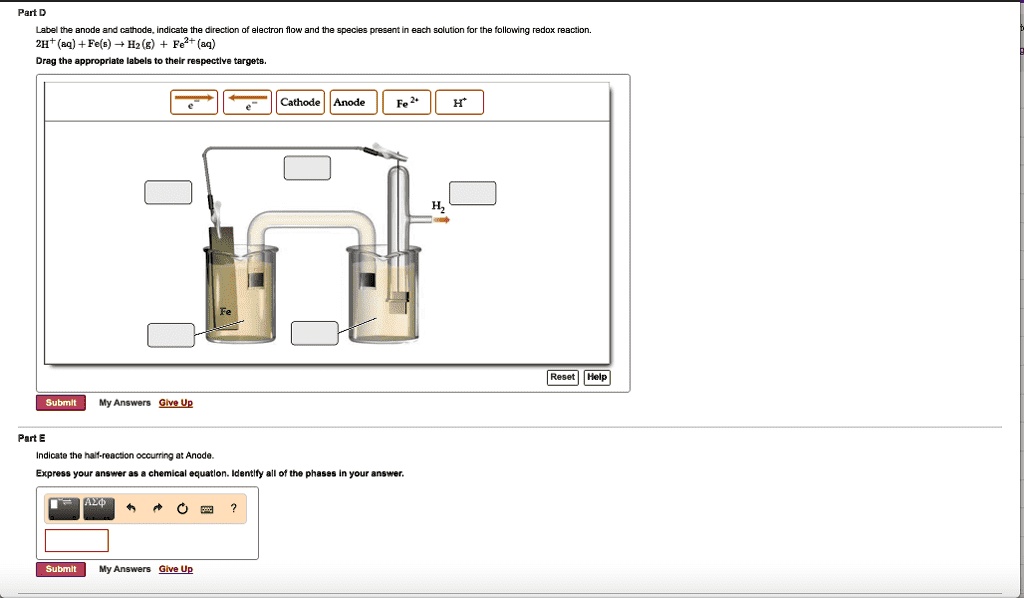 SOLVED: ' Label the anode and cathode. Indicate the direction of electron flow and the species ...