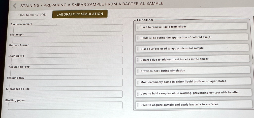 staining preparing a smear sample from a bacterial sample introduction laboratory simulation ...