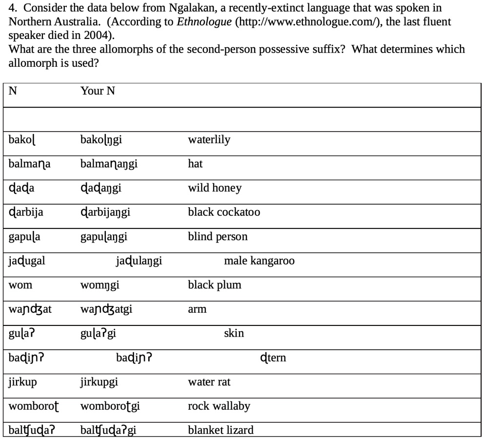 consider the data below from ngalakan a recently extinct language that was spoken in northern ...