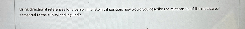 using directional references for a person in anatomical position how ...