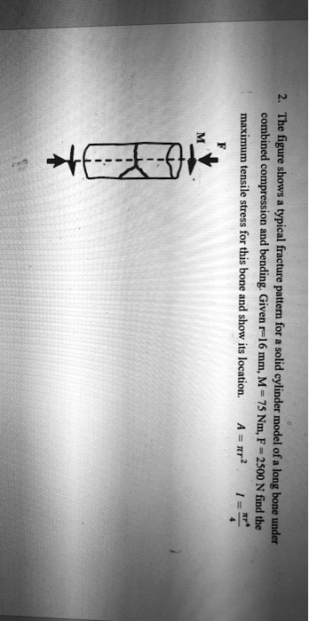 Solved Solve 2 Maximum Tensile Stress For This Bone And Show Its