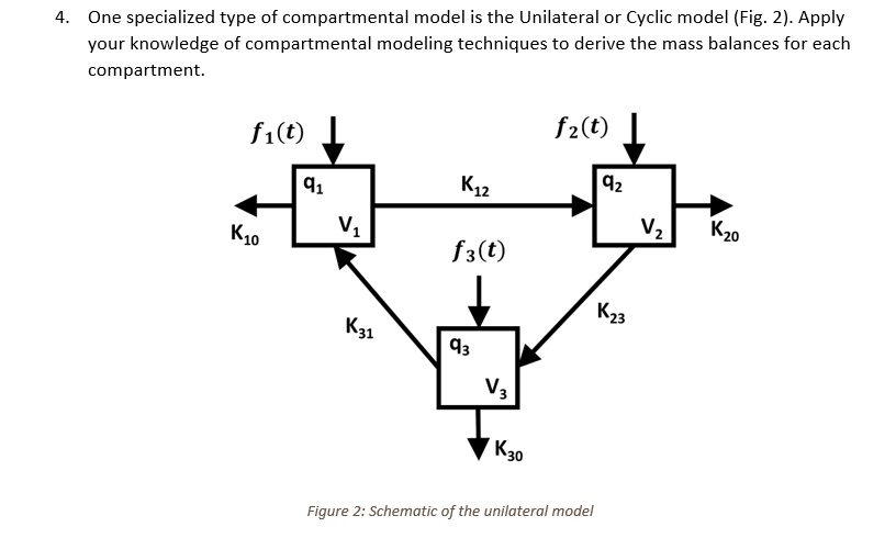 SOLVED:One specialized type of compartmental model is the Unilateral or ...