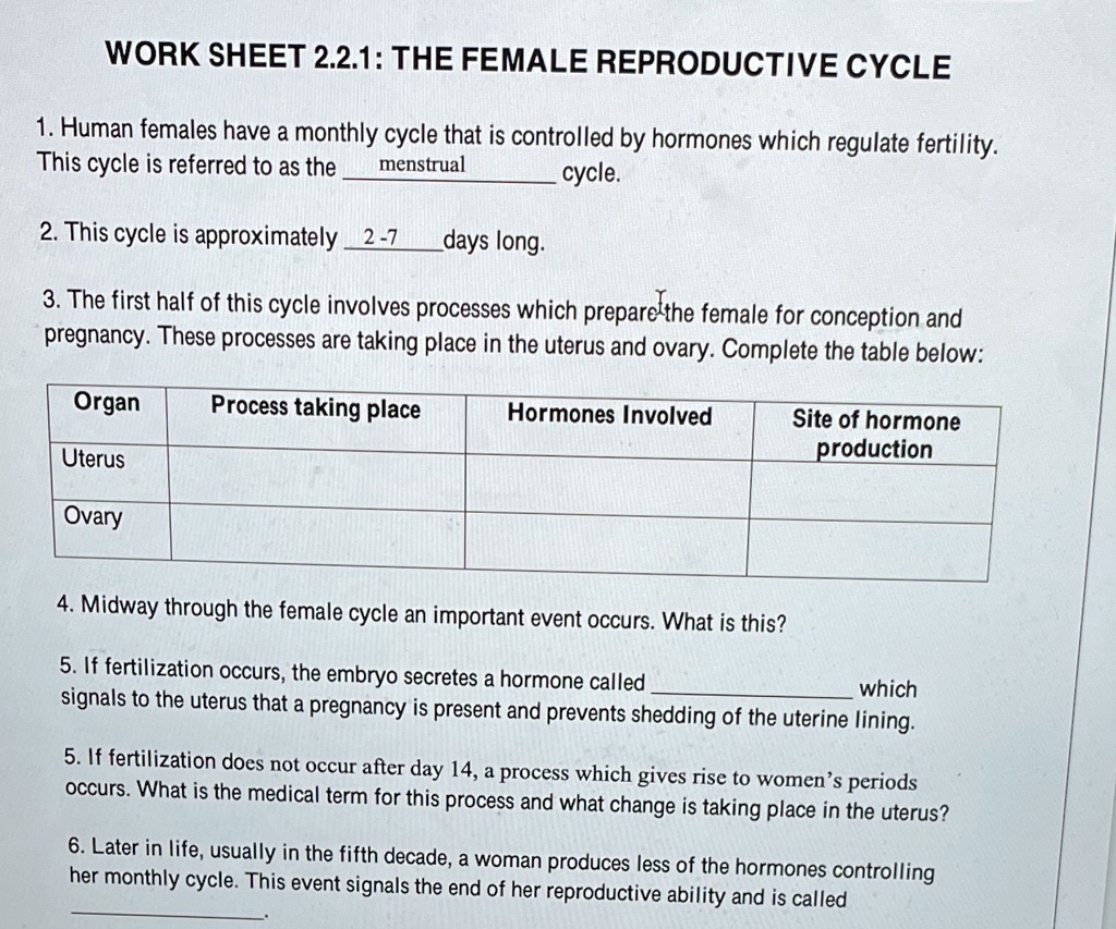 SOLVED: WORKSHEET 2.2.1: THE FEMALE REPRODUCTIVE CYCLE Human females ...