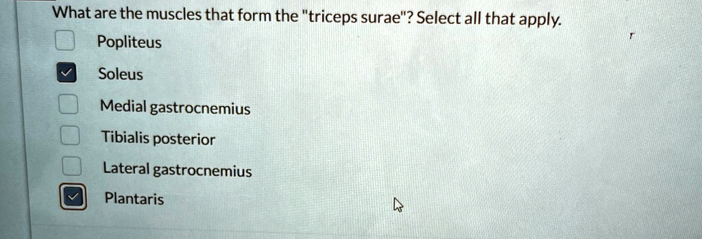 what are the muscles that form the triceps surae select all that apply ...